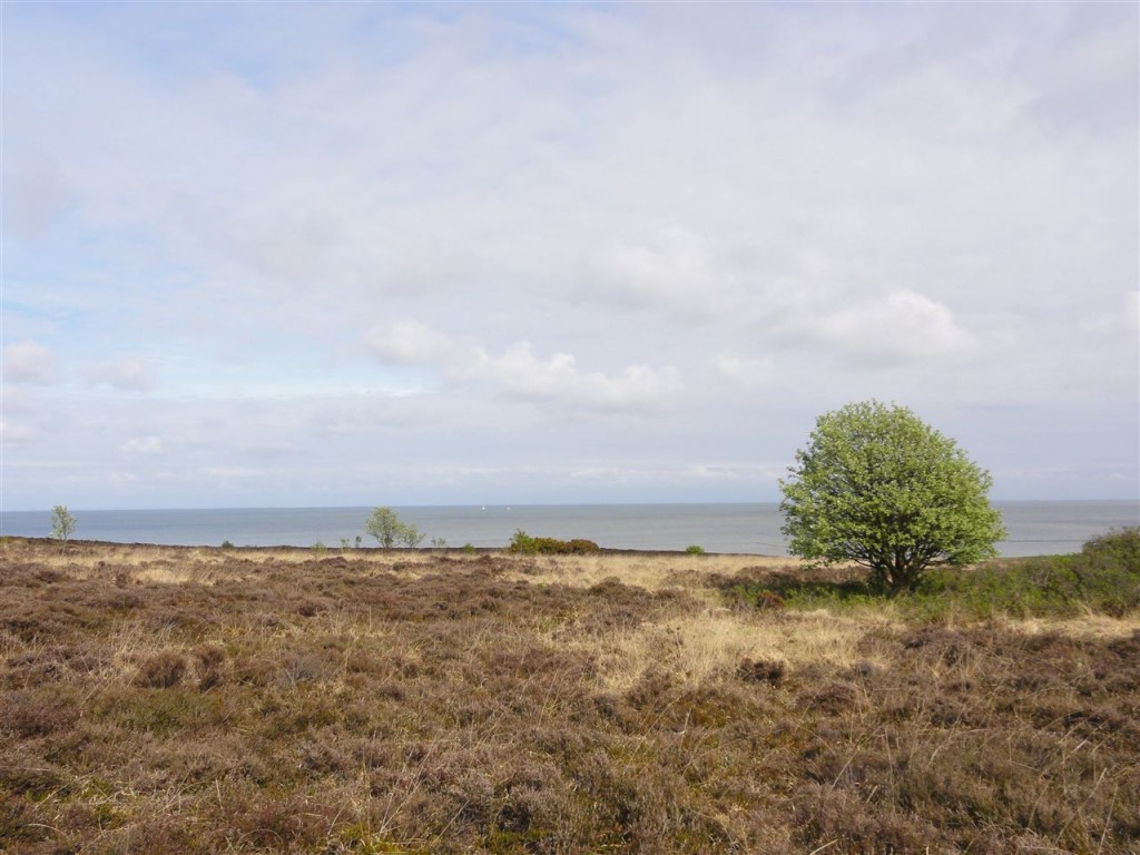 Sylt: 5 Tipps für einen günstigen Inselurlaub | Lieblingsplätze-Blog